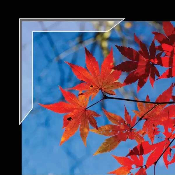 Photo Corners – Light Impressions